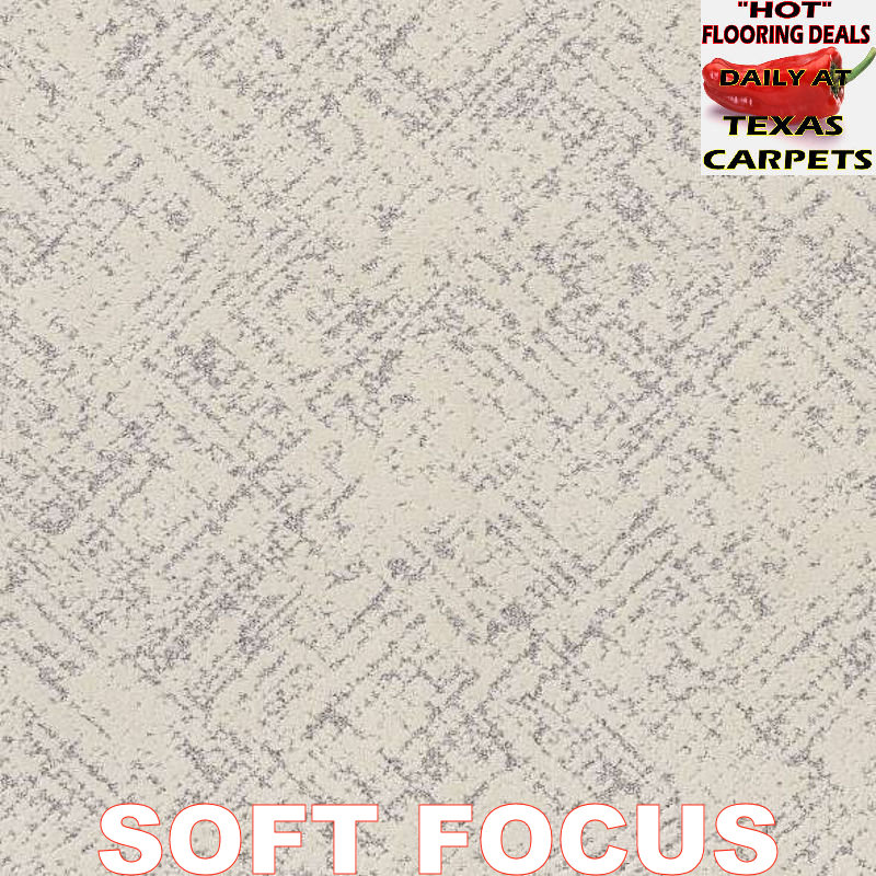 Sincere Focus | Shaw